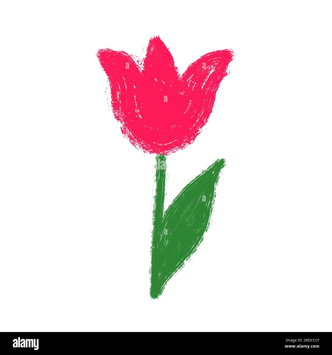 Pink tulip doodle drawing on white background. Childish style drawing ...
