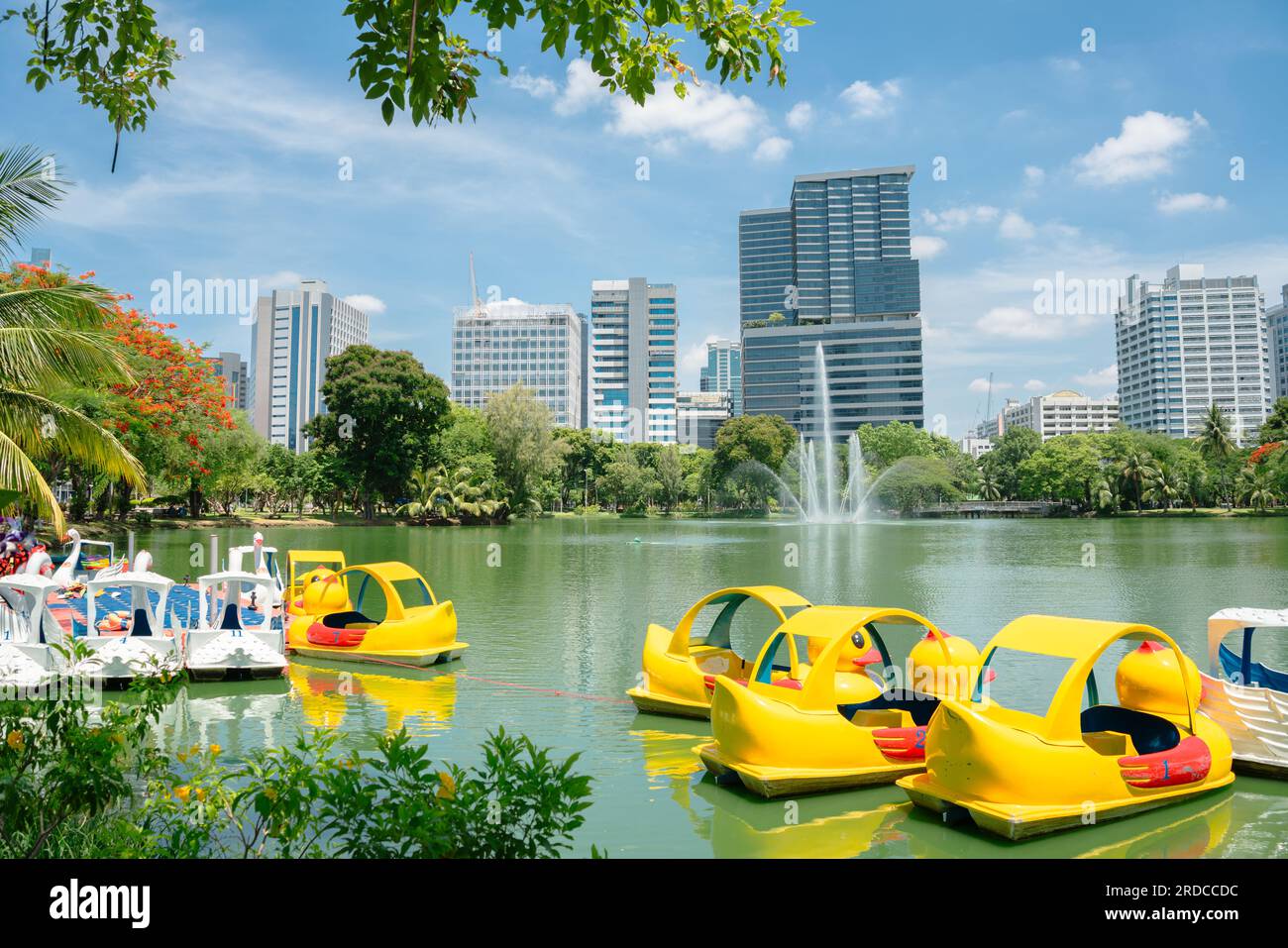 Lumpini Park green forest lake and buildings in Bangkok, Thailand Stock ...
