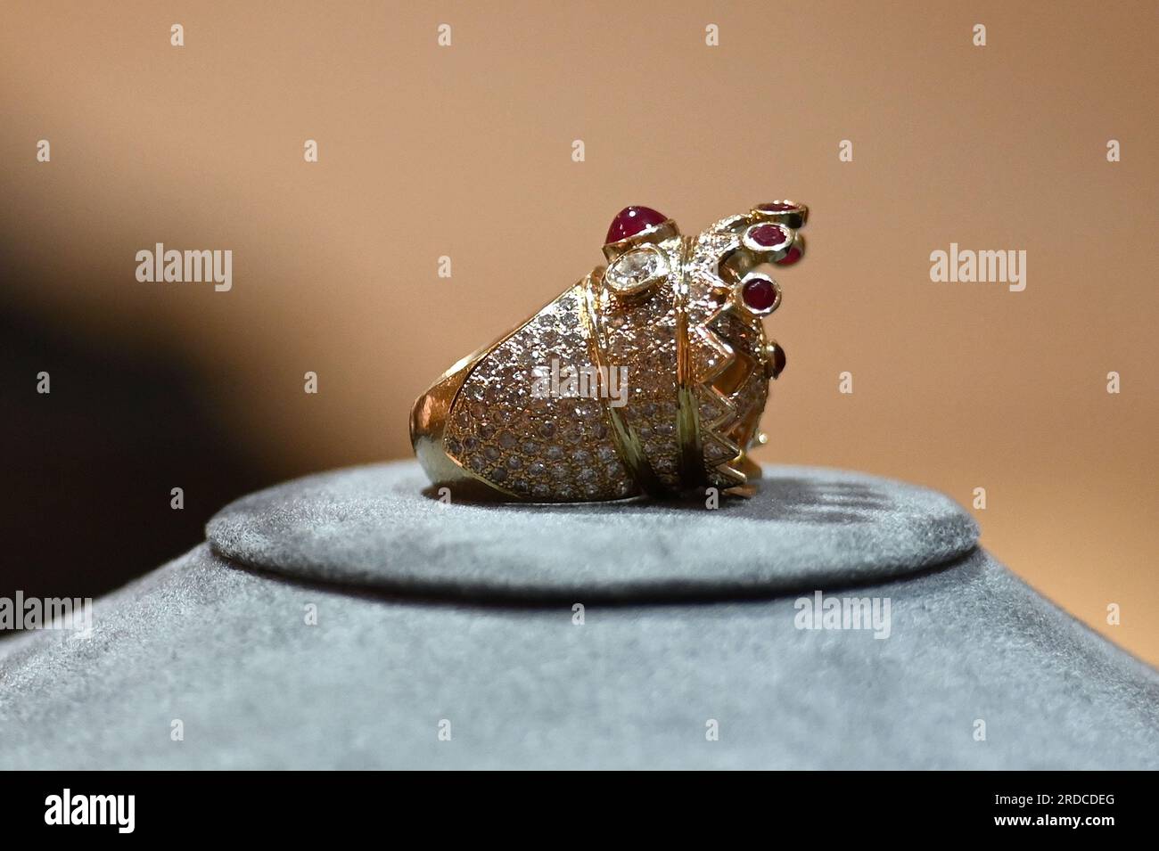 Geek ruby hi-res stock photography and images - Alamy