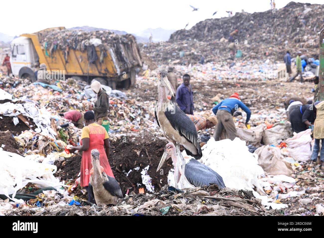 Nairobi, Kenya. 14th July, 2023. People are seen picking recyclables at ...