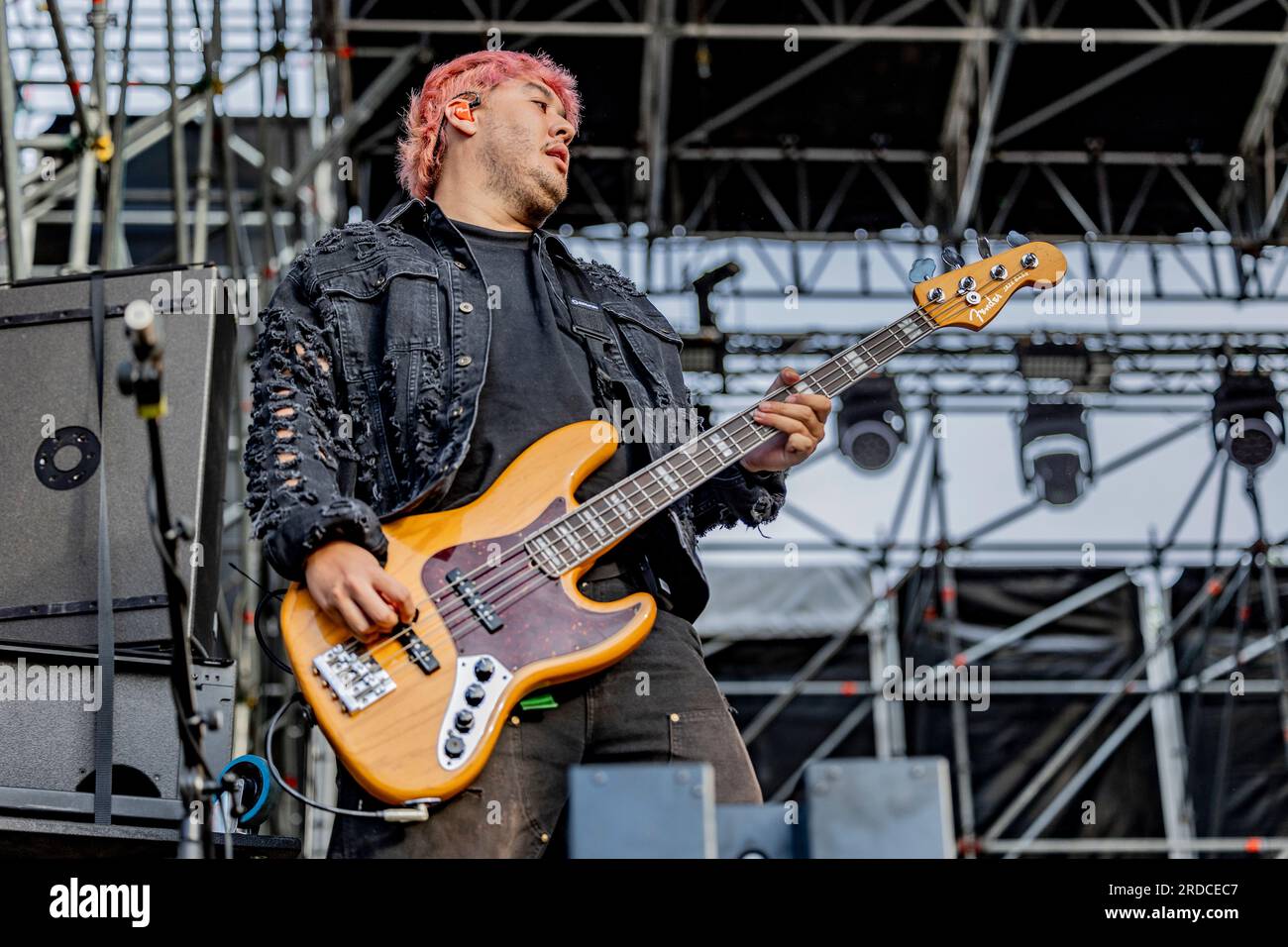 Stand atlantic bellaria igea marina hi-res stock photography and images ...