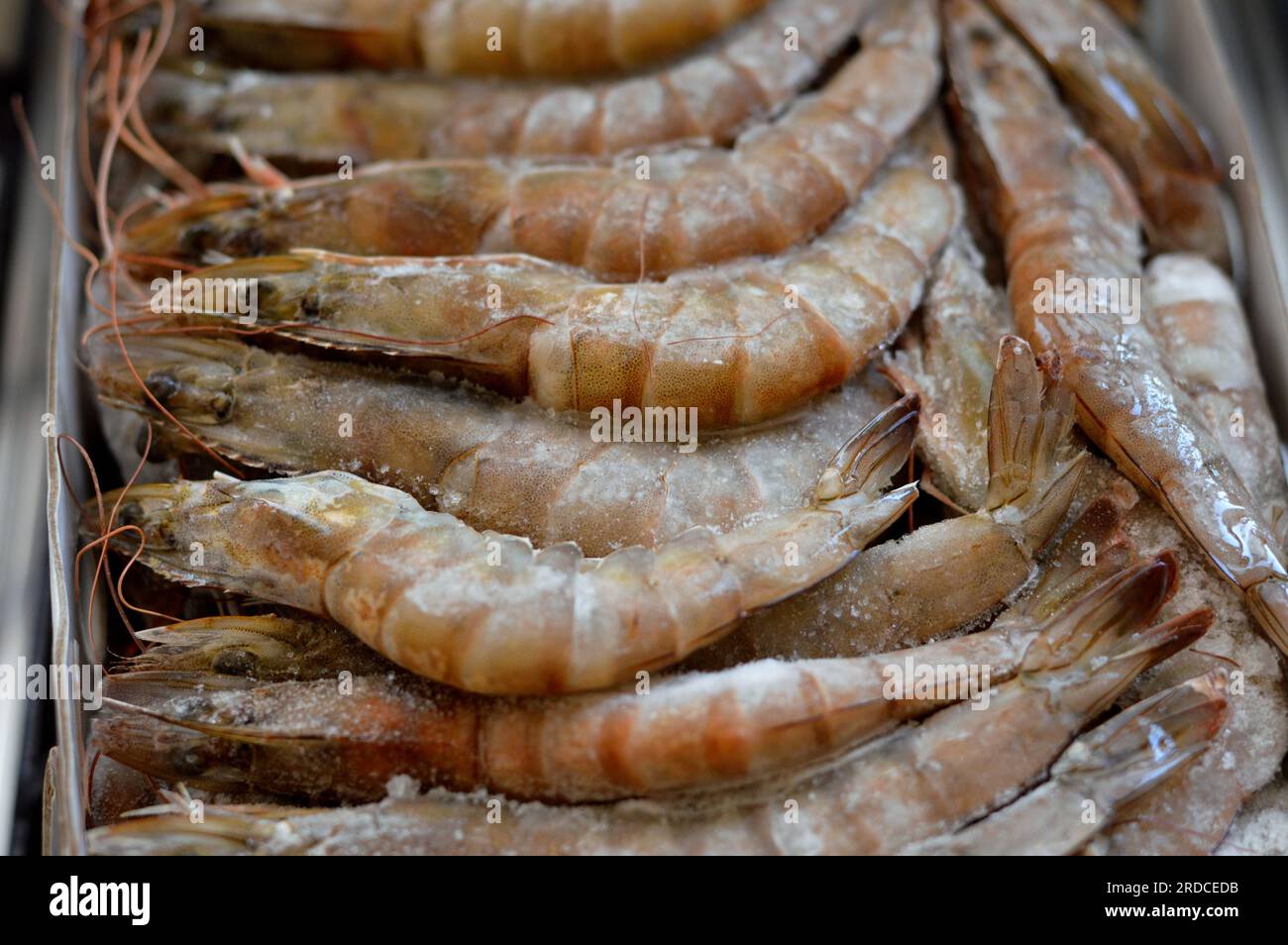 Pile of raw frozen shrimps, a crustacean (a form of shellfish) with an ...