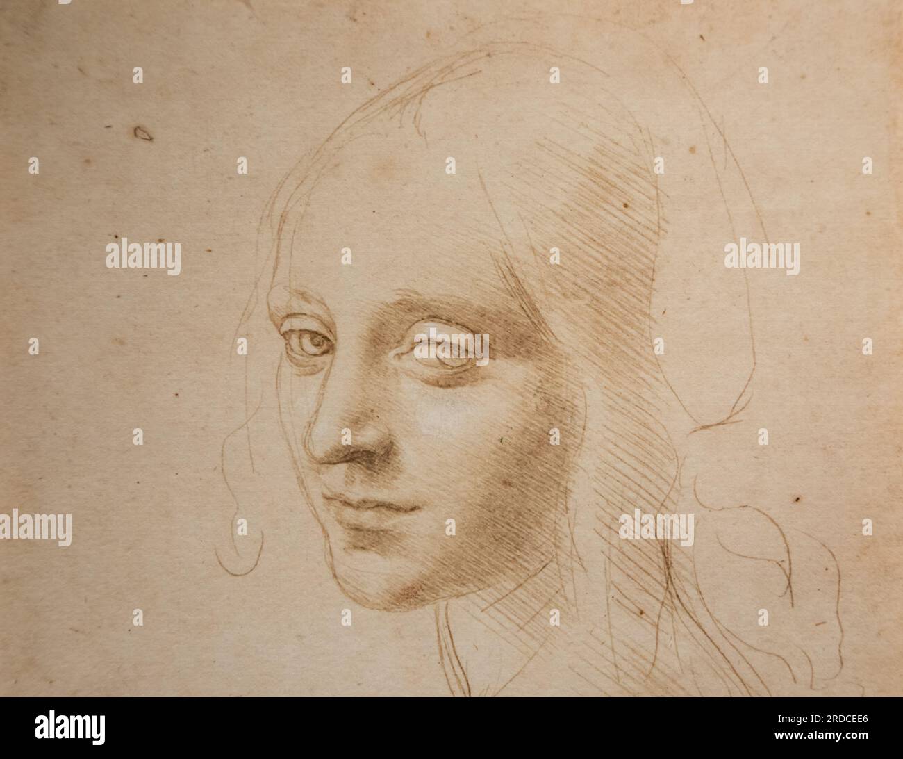 Royal library of turin hi-res stock photography and images - Alamy