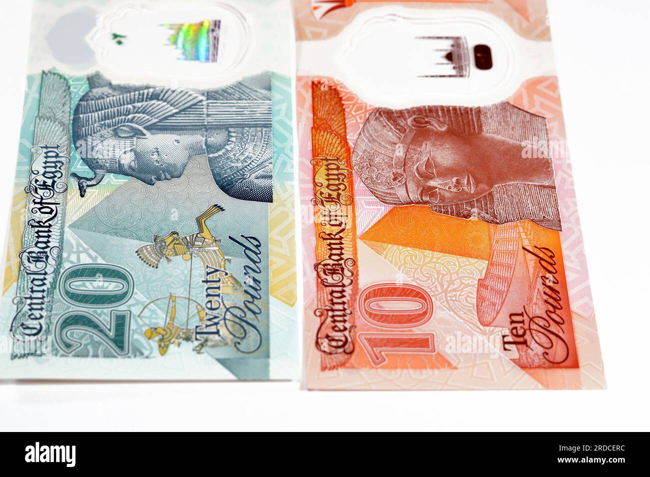 Egyptian new polymer money banknotes cash money bills background of ...