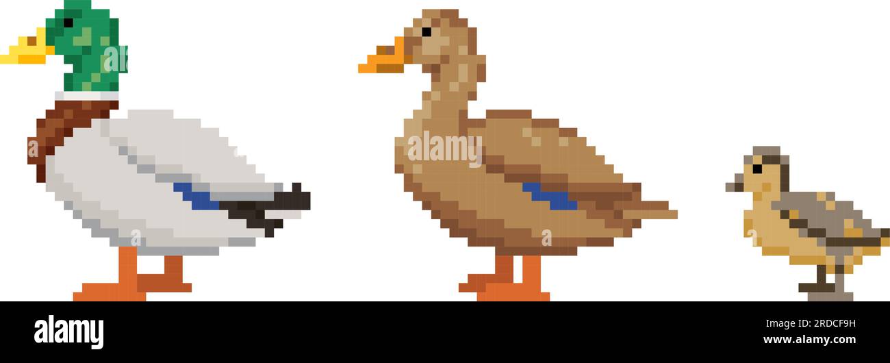 Pixel art set of Wild duck birds. Ducks family. Male Drake, female duck and duckling icons ...