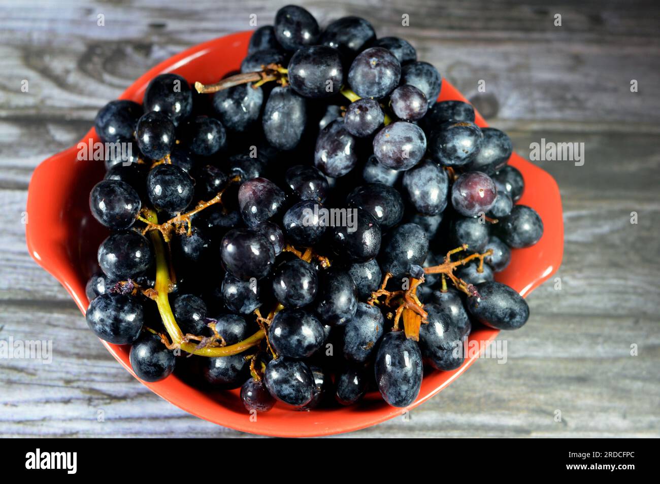 Black grapes, a fruit, botanically a berry of the deciduous woody vines ...
