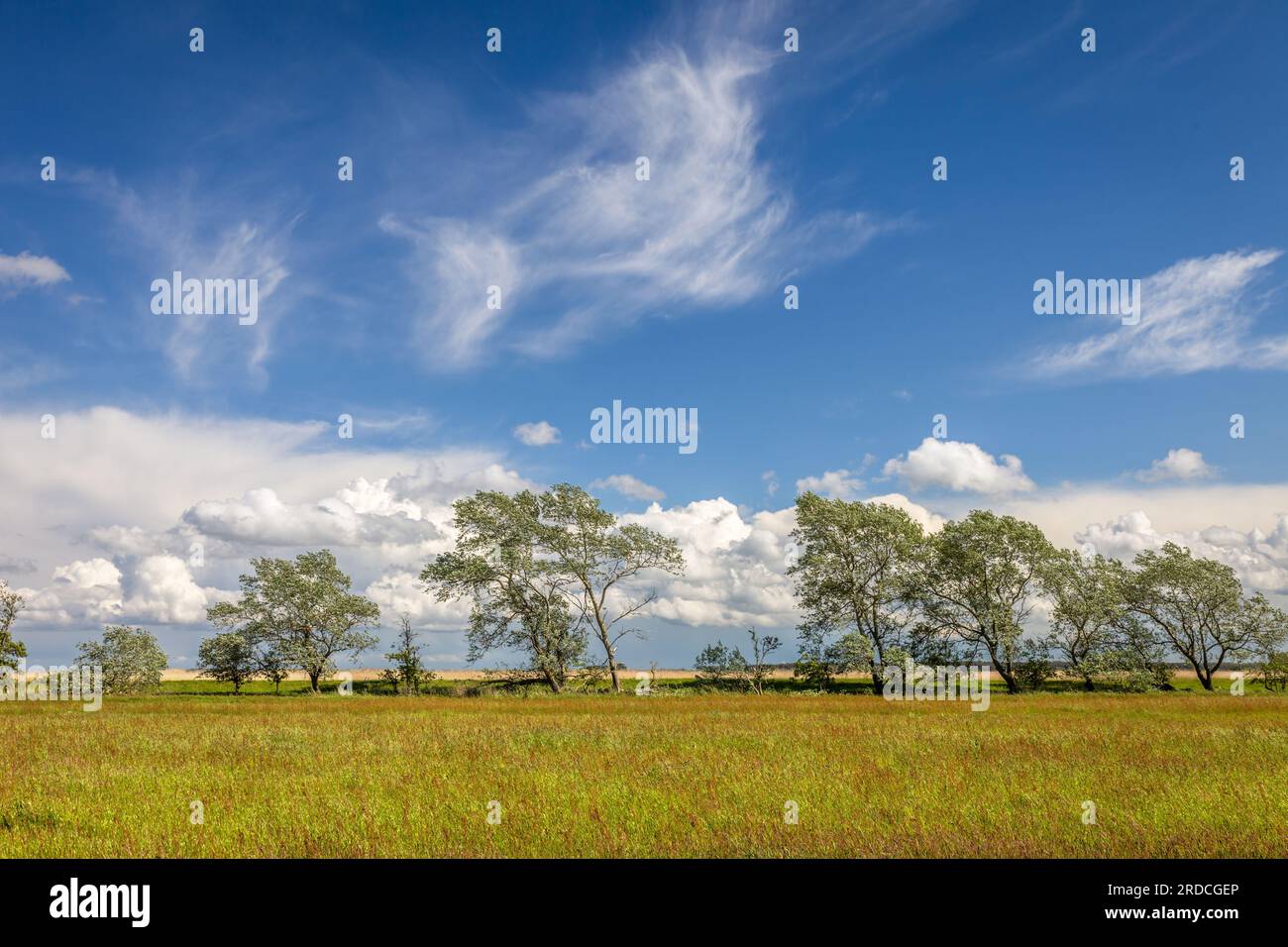 Wind dodgers on hi-res stock photography and images - Alamy
