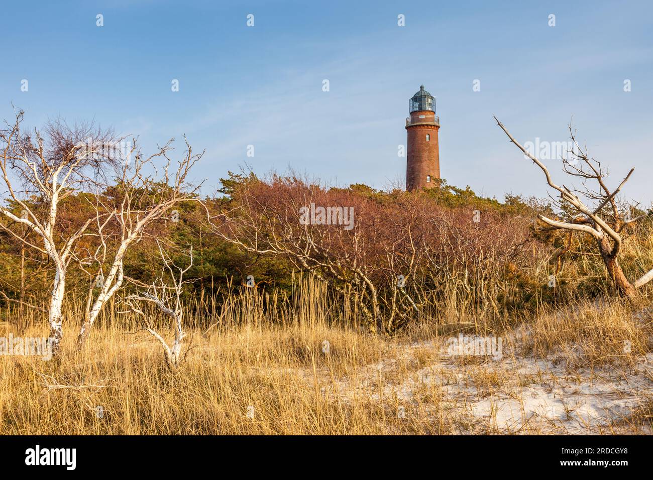 Darss lighthouse hi-res stock photography and images - Alamy