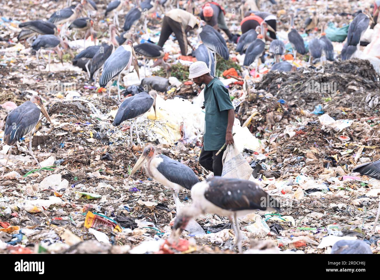 Nairobi, Kenya. 14th July, 2023. A man seen picking recyclables at the ...