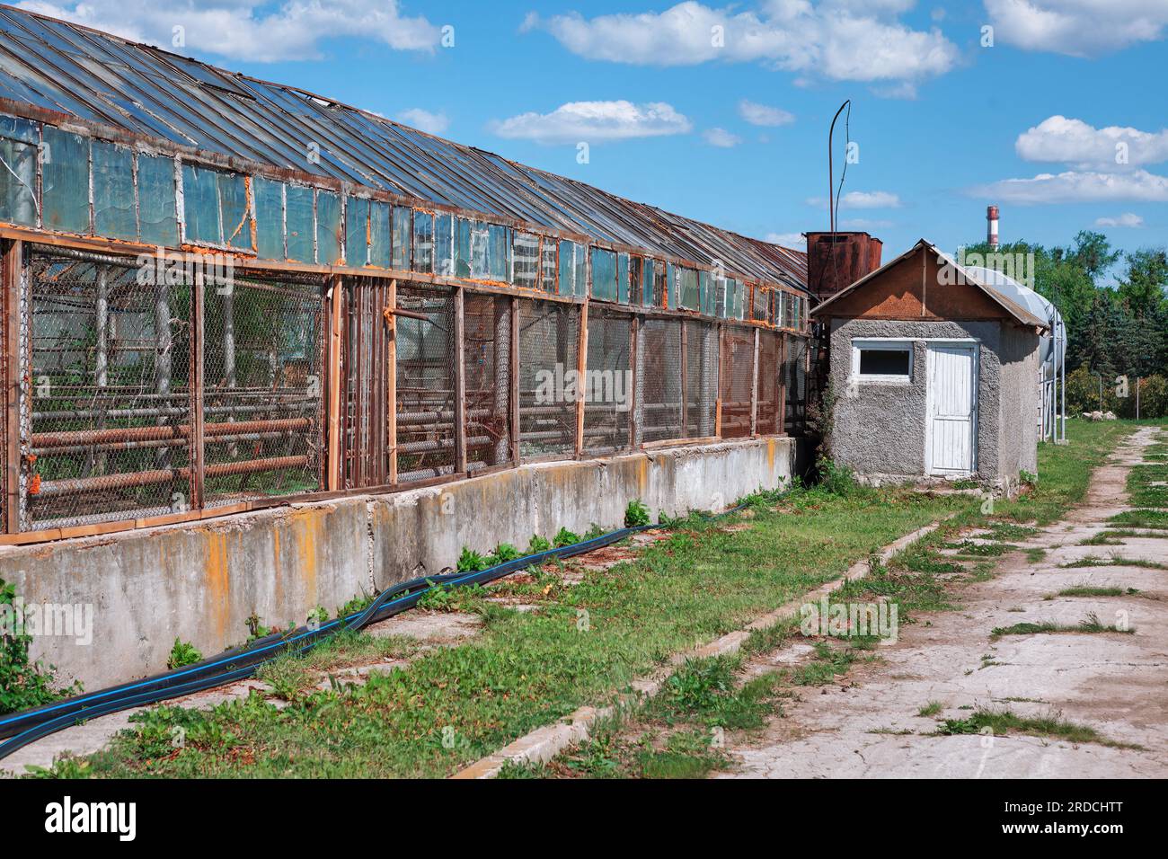 Abandoned greenhouses in the village. Chernobyl exclusion zone ...