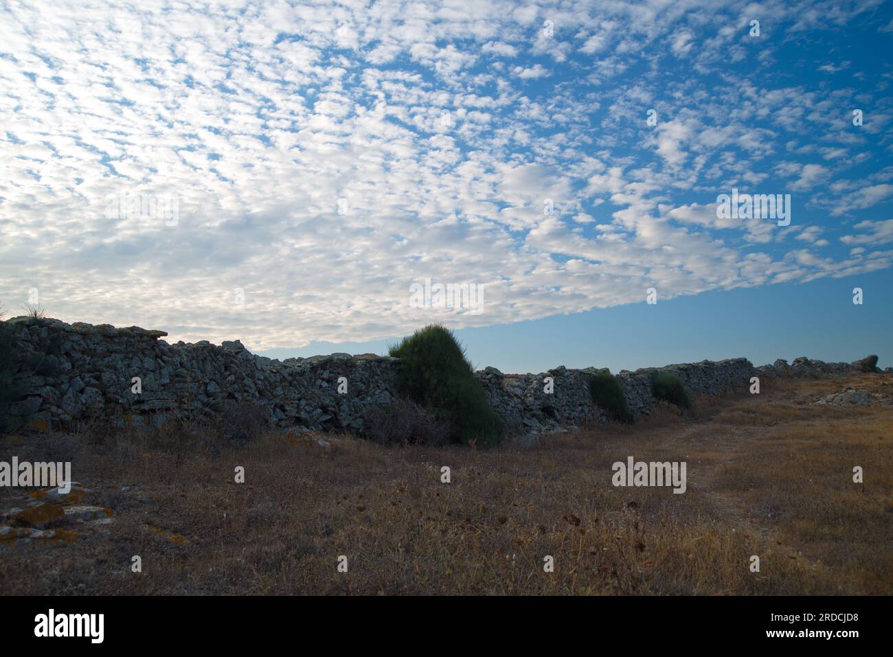 Muro de verano hi-res stock photography and images - Alamy