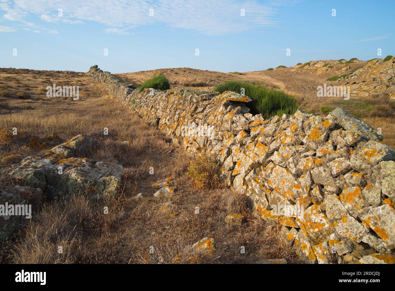 Muro de verano hi-res stock photography and images - Alamy