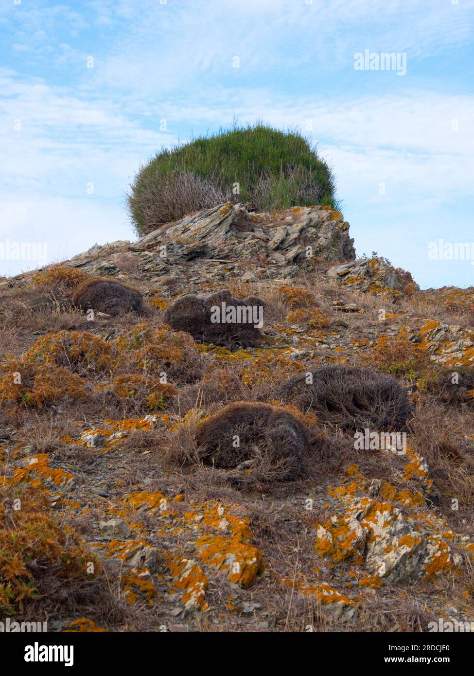Muro de piedras en Menorca. stone wall in Menorca Stock Photo - Alamy
