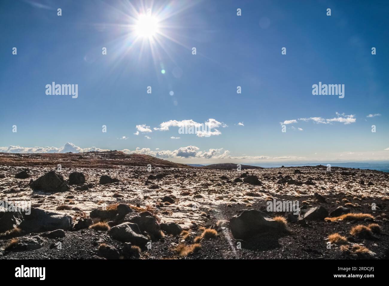 Wanganui hi-res stock photography and images - Alamy