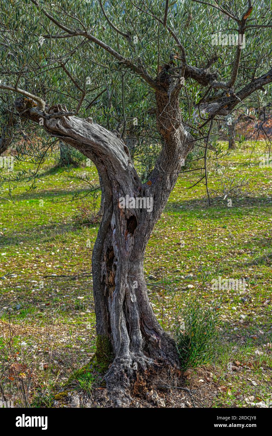 Mediterranean ancient hi-res stock photography and images - Alamy