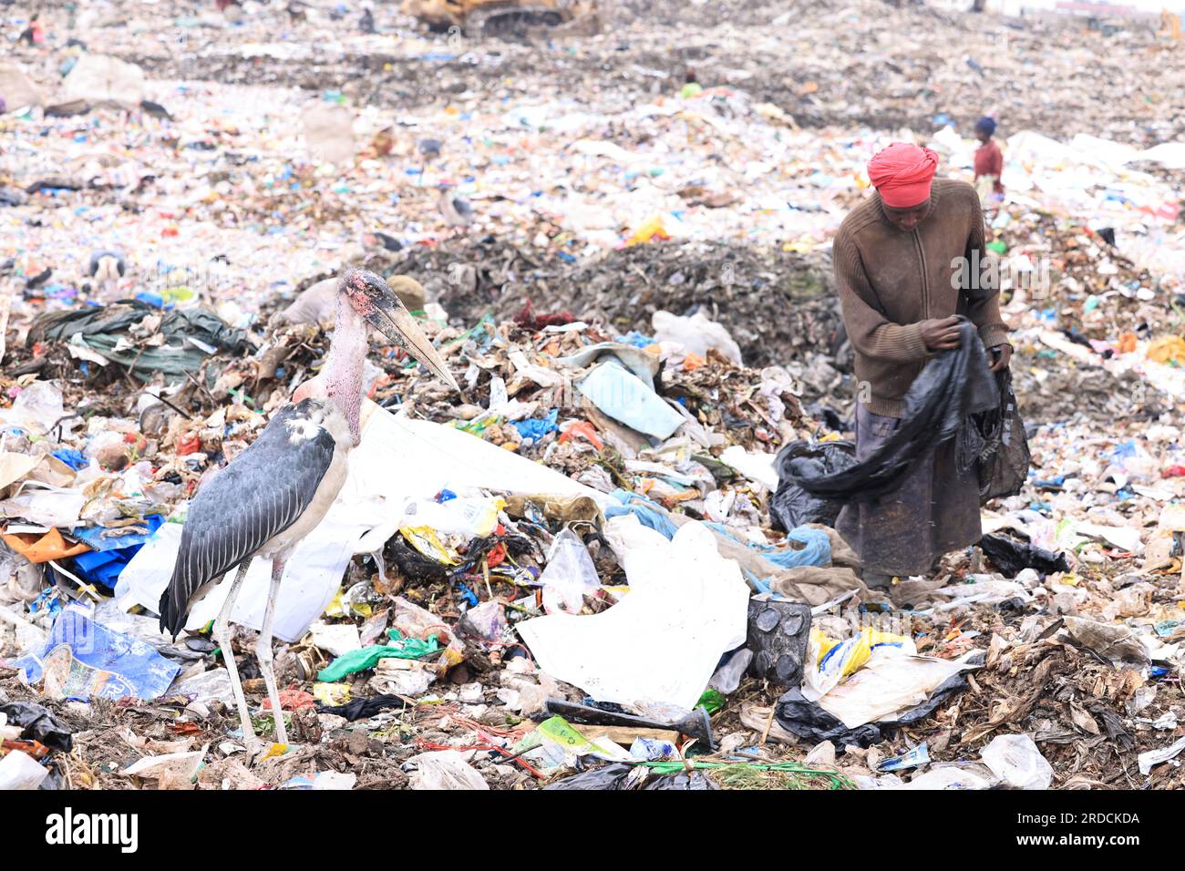 Nairobi, Kenya. 14th July, 2023. People are seen picking recyclables at ...