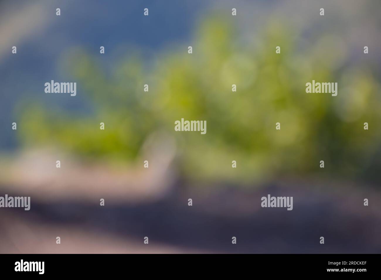 Bokeh natural background hi-res stock photography and images - Alamy