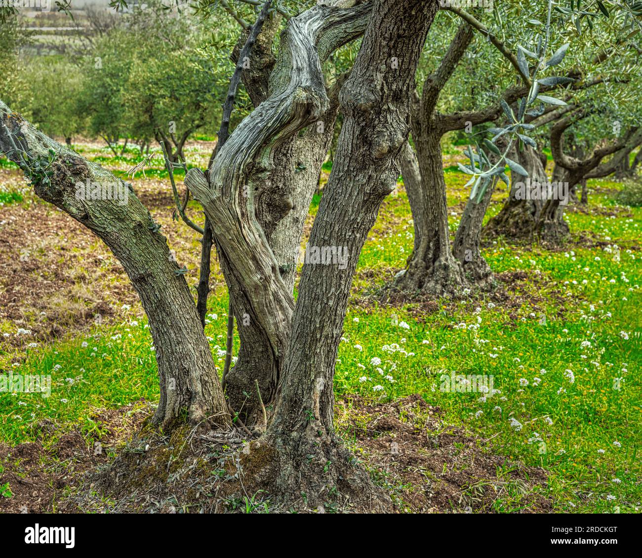 Ancient farming culture hi-res stock photography and images - Alamy