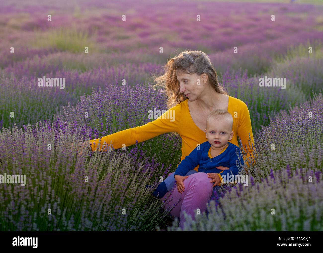 Mature and beautiful mom did a photo shoot in the lavender field and ...