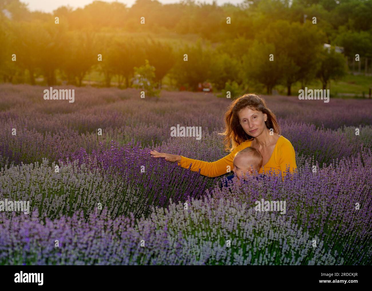 Mature and beautiful mom did a photo shoot in the lavender field and ...