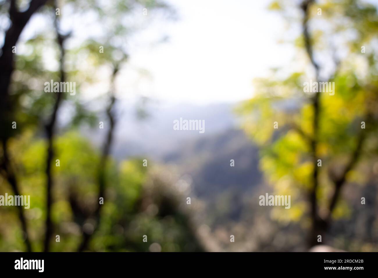 Pure green blur background abstract hi-res stock photography and images ...