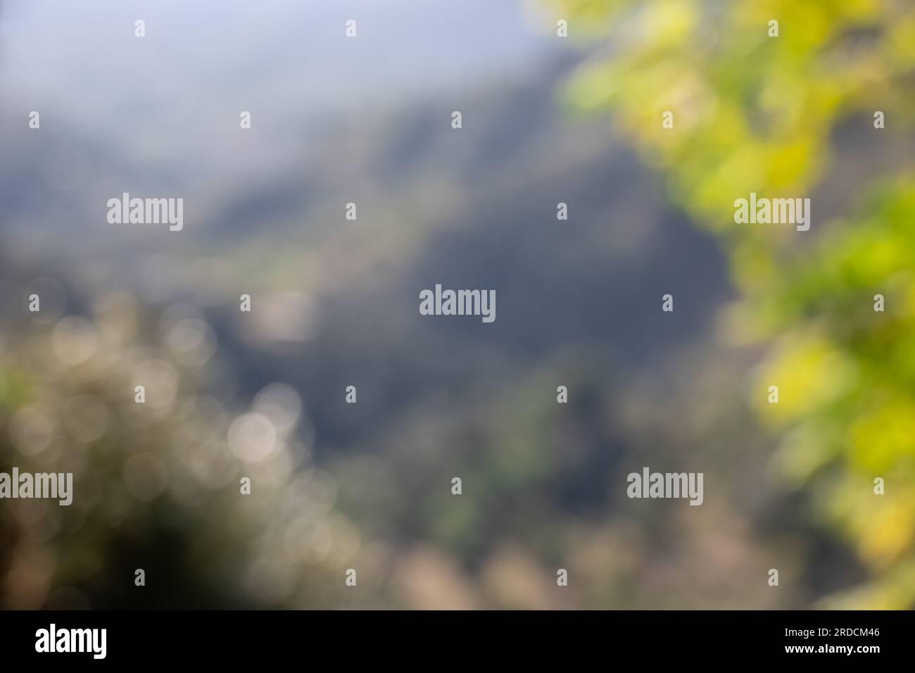 Pure green blur background abstract hi-res stock photography and images ...