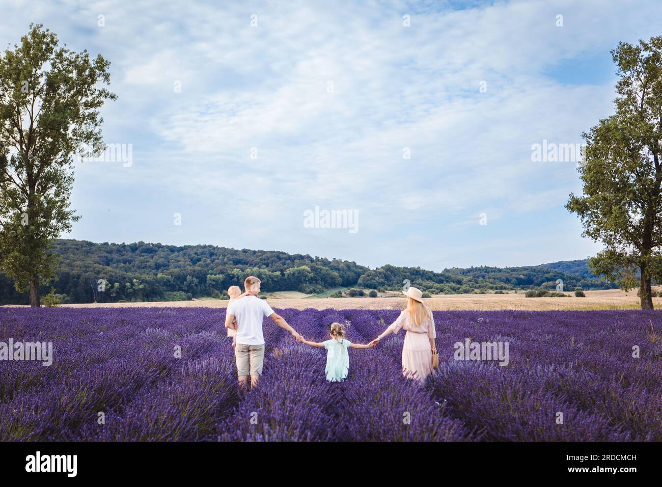 a family walks on a lavender field. father and mother with two ...