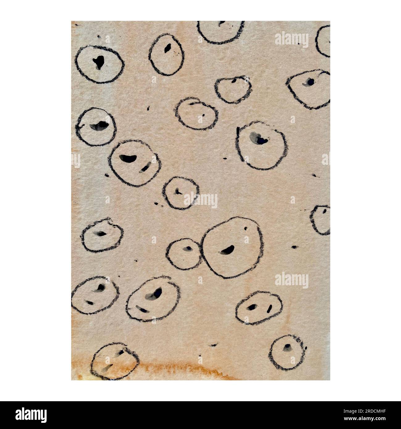 Textured hand drawn paper dots round illustration Stock Photo - Alamy