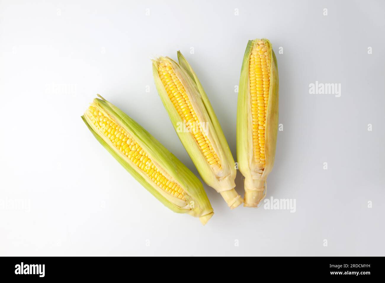 raw corn maize cob isolated on white background Stock Photo - Alamy
