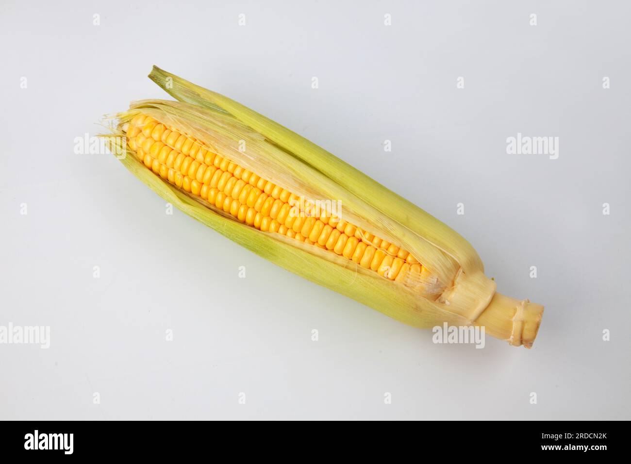 raw corn maize cob isolated on white background Stock Photo - Alamy