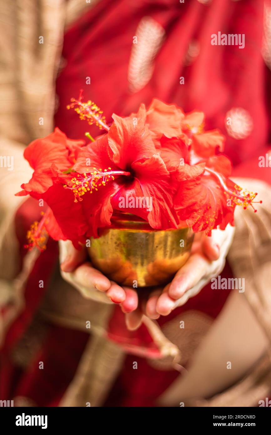 devotee holding holy copper pot filled with Hibiscus flower for worship ...