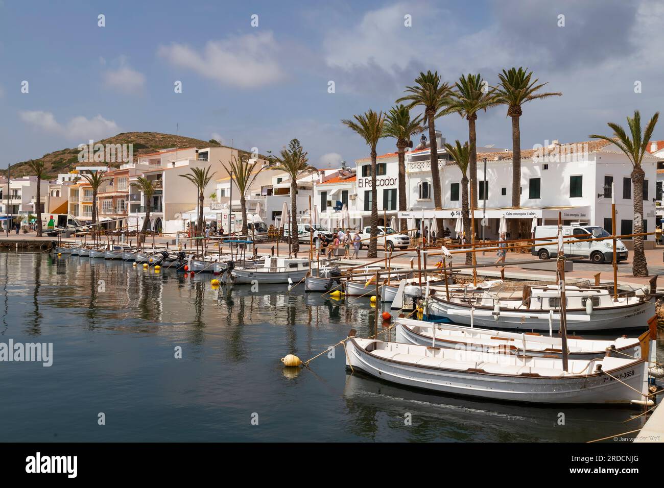 Port with palm trees in the fishing village of Fornells on the island ...