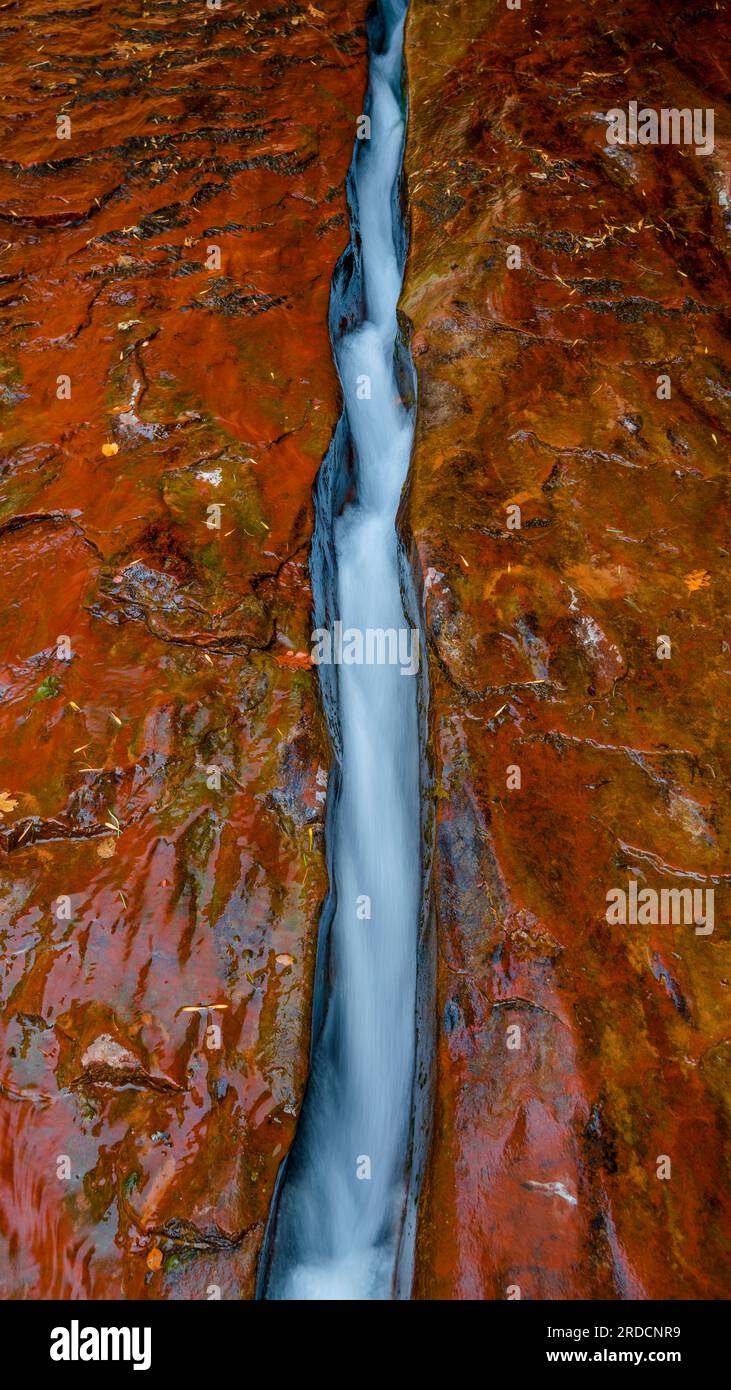 Zion National Park, Subway Left Fork North Creek, Utah Stock Photo - Alamy