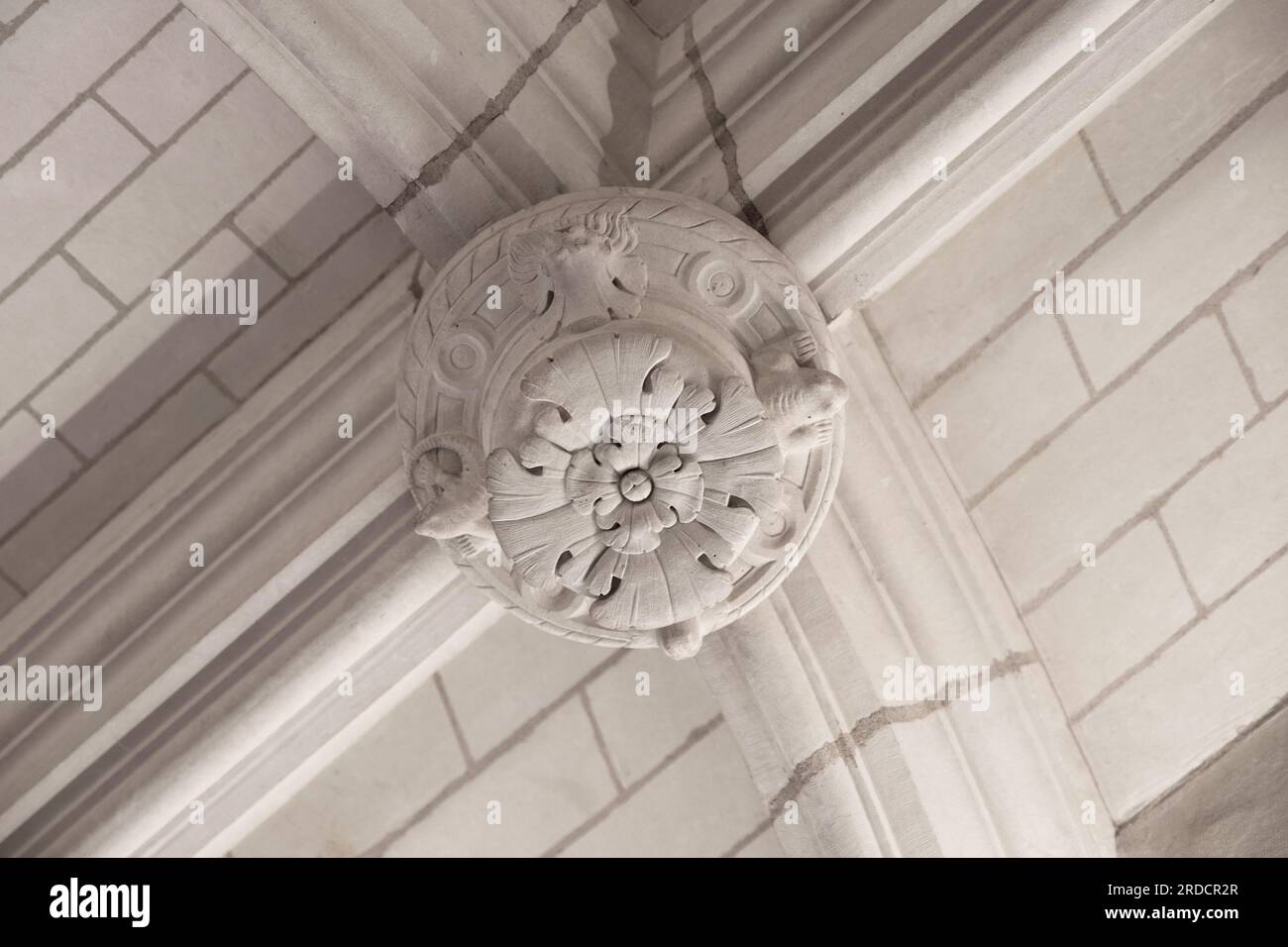 Detail of the white stone ceiling of a medieval building Stock Photo ...
