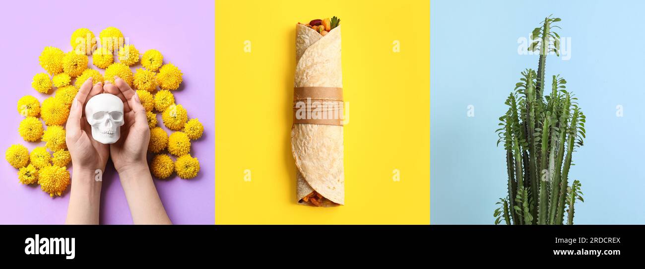 Collage of traditional Mexican burrito, green cactus and skull on color ...