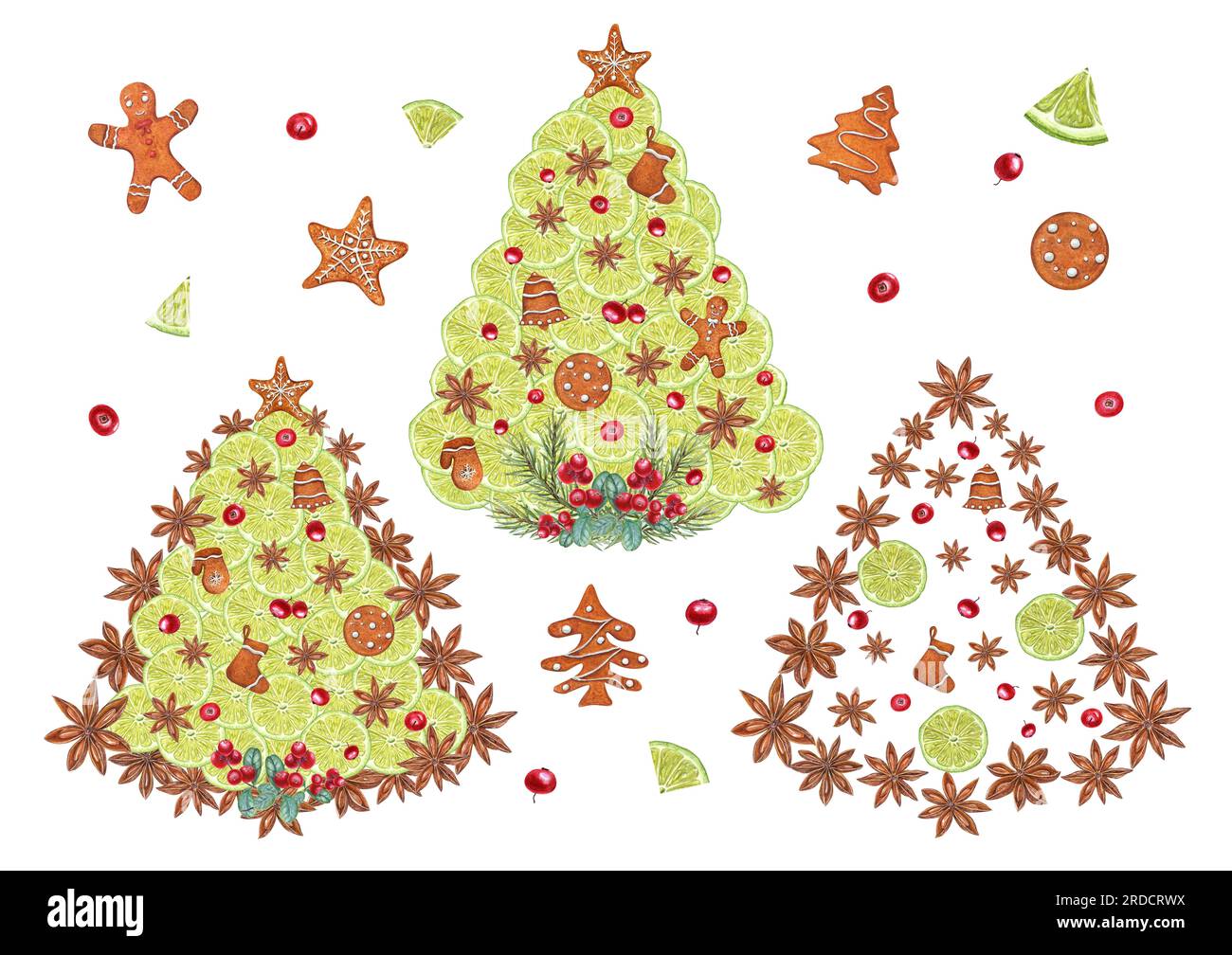Christmas Cranberry Clipart