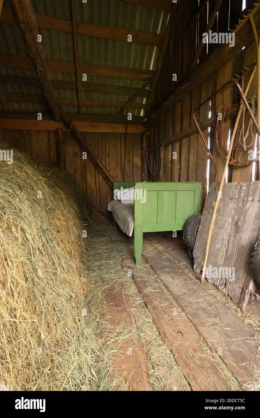 Hay in an old village barn. There is an old wooden bed Stock Photo - Alamy