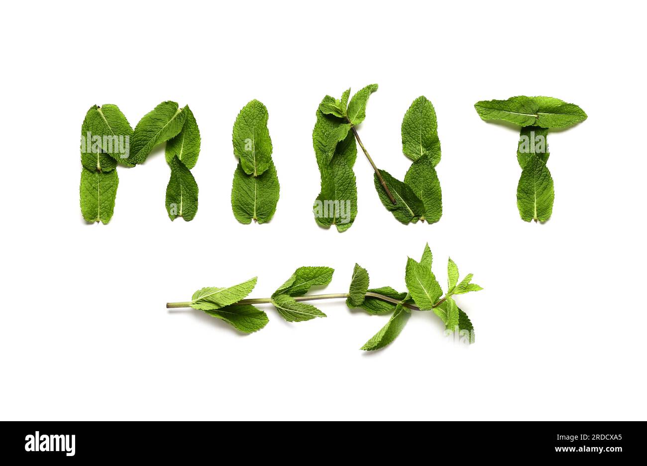 Word mint made of green leaves on white background Stock Photo - Alamy