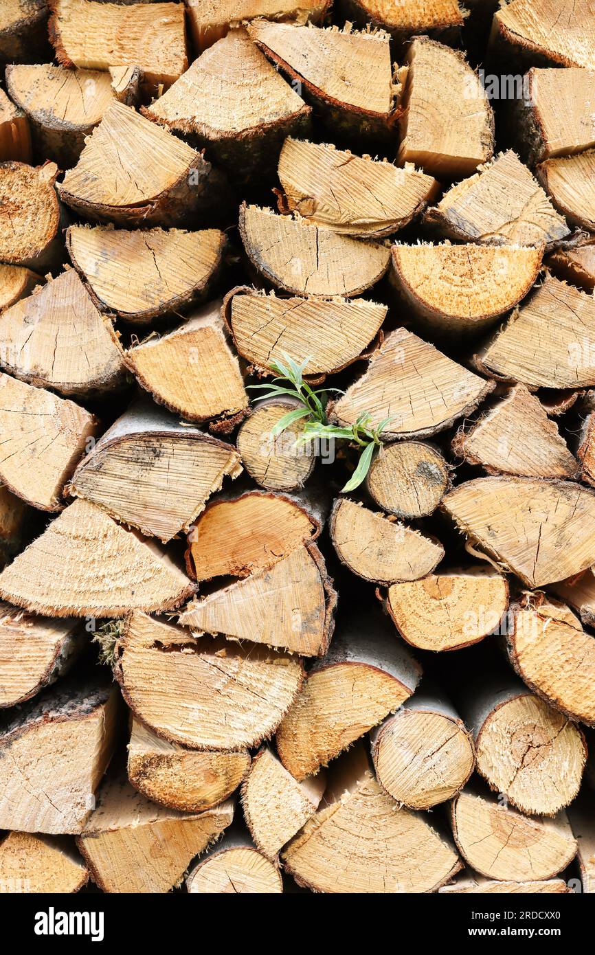 Nice wood wallpaper hi-res stock photography and images - Alamy