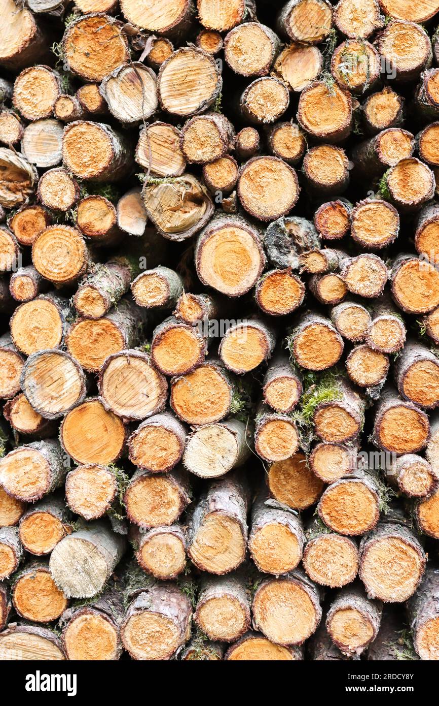 stack of wood on the farm Stock Photo - Alamy