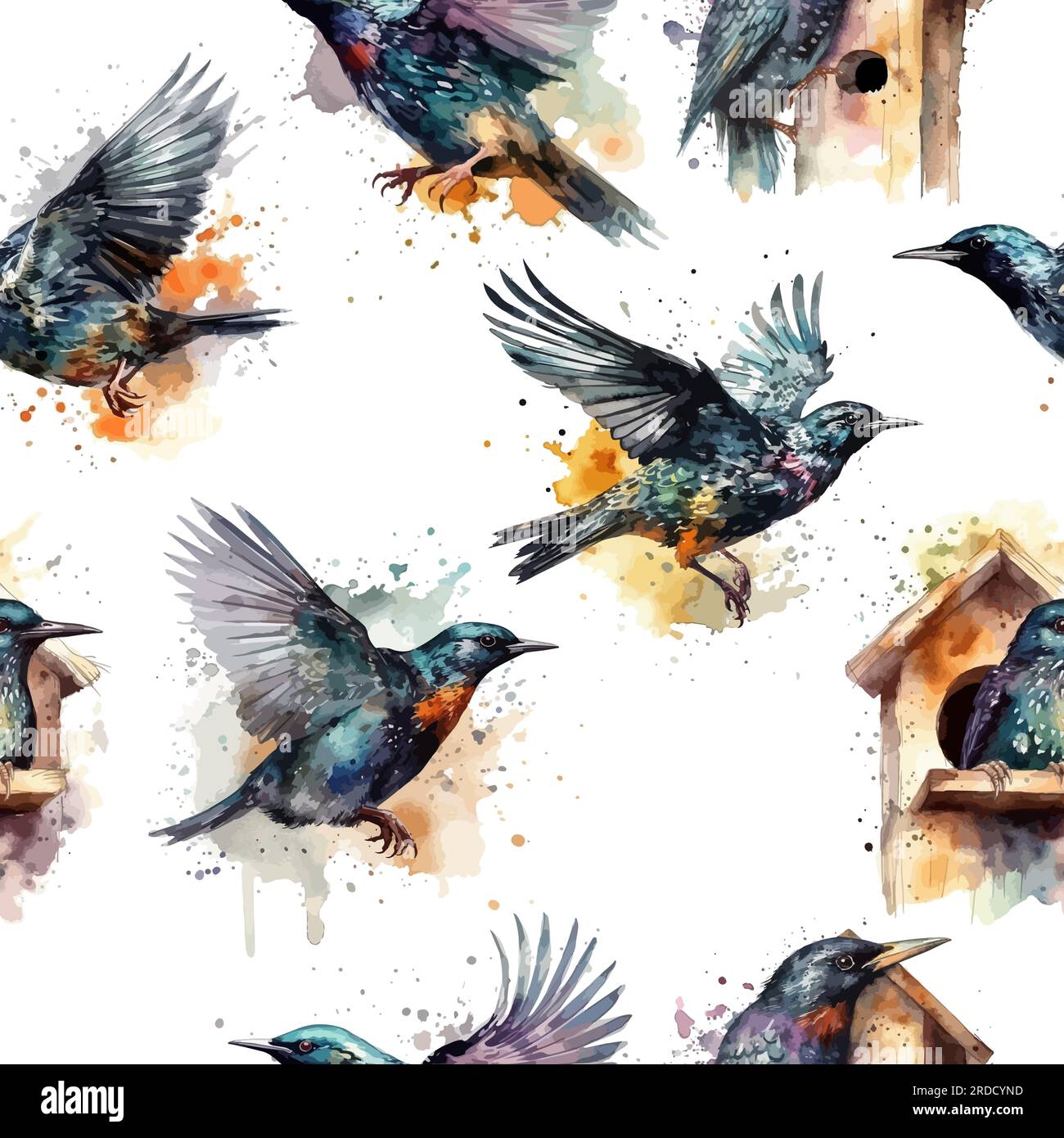 Starlings birds bird starling Stock Vector Images - Alamy