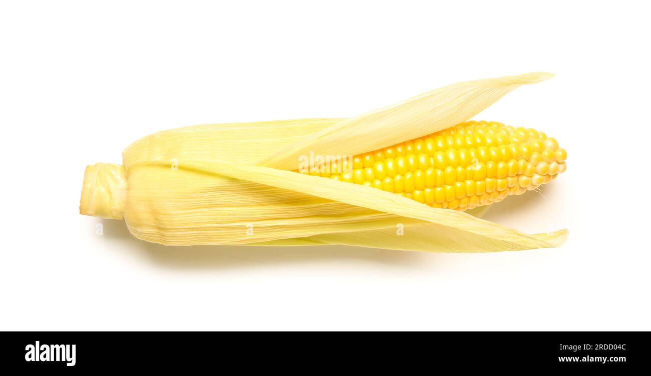 Fresh corn cob on white background Stock Photo - Alamy