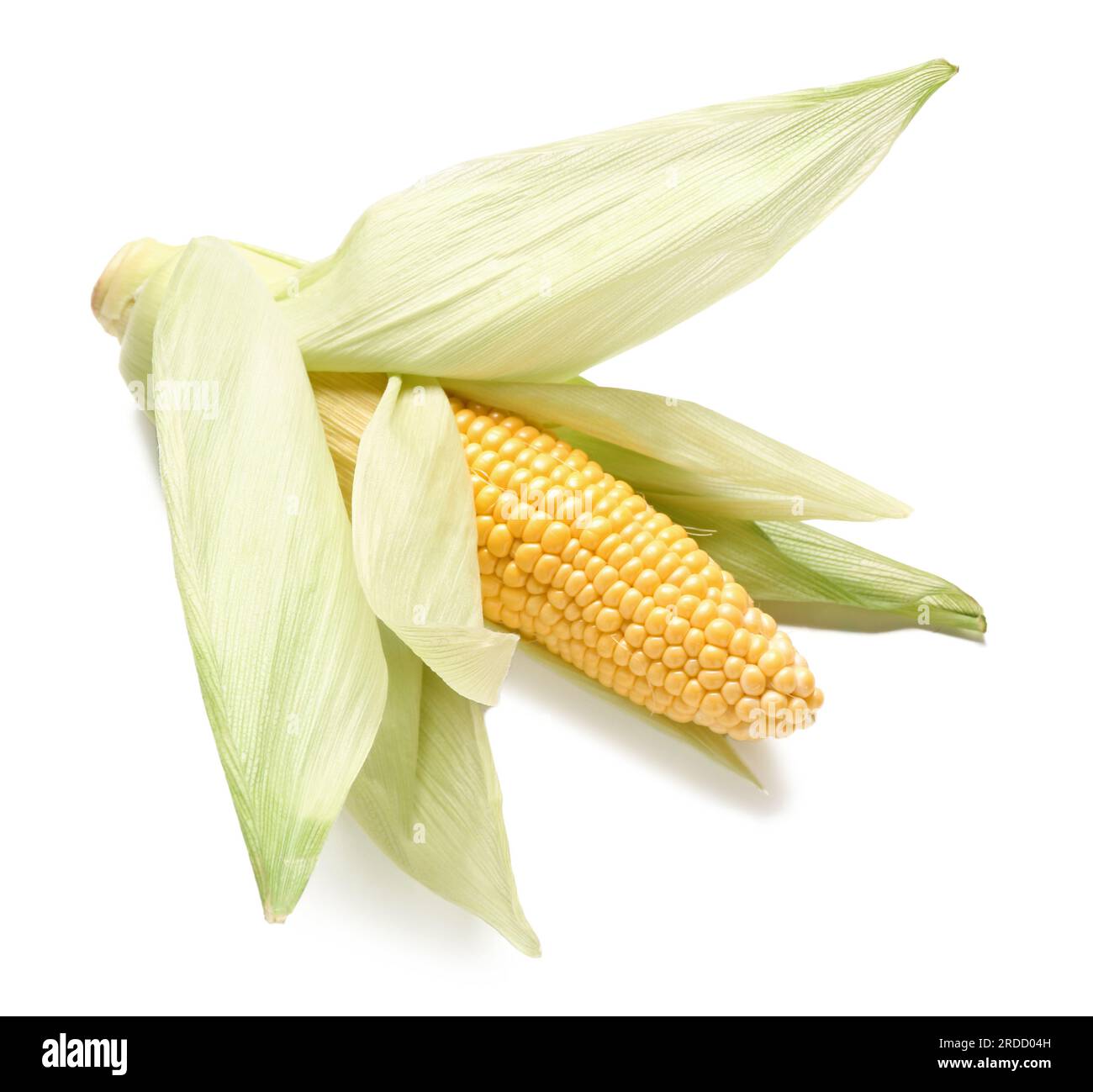 Fresh corn cob on white background Stock Photo - Alamy