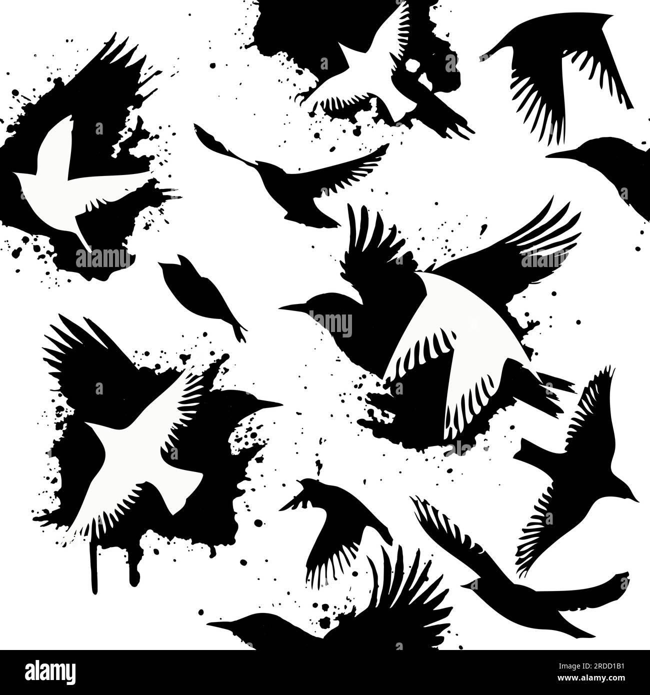 Seamless pattern of flying starlings silhouette. Vector illustration ...