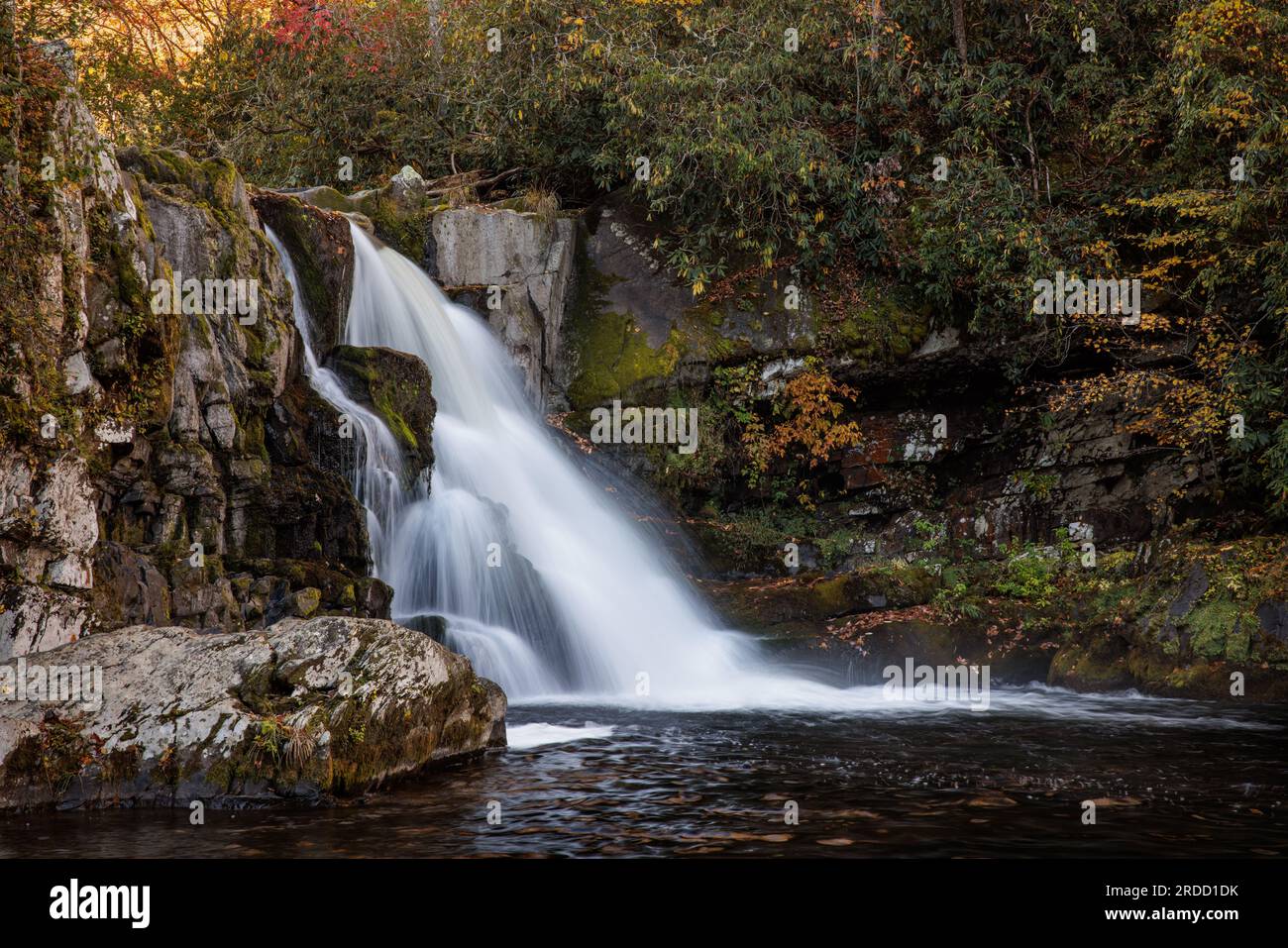 Abrams Falls pours over a rock face into its plunge pool along Abrams ...