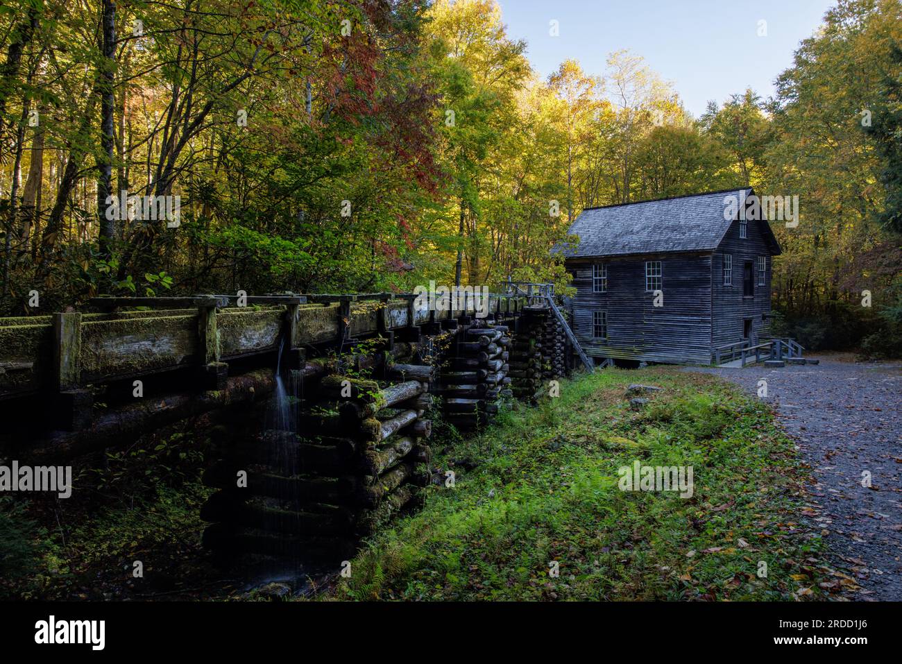 Autumn foliage surrounds the sluiceway at Mingus Mill Stock Photo - Alamy