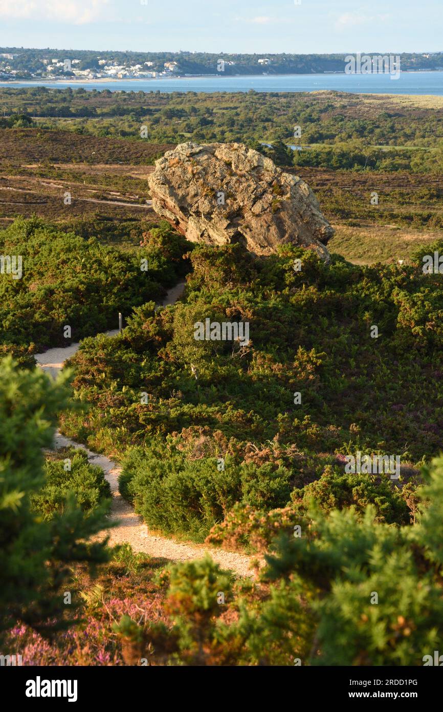 Agglestone Rock is a 400-tonne sandstone landmark on the Isle of ...