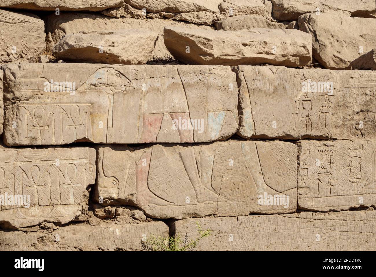 Reliefs in the The Precinct of Mut, at Karnak Temple, Luxor, Egypt ...