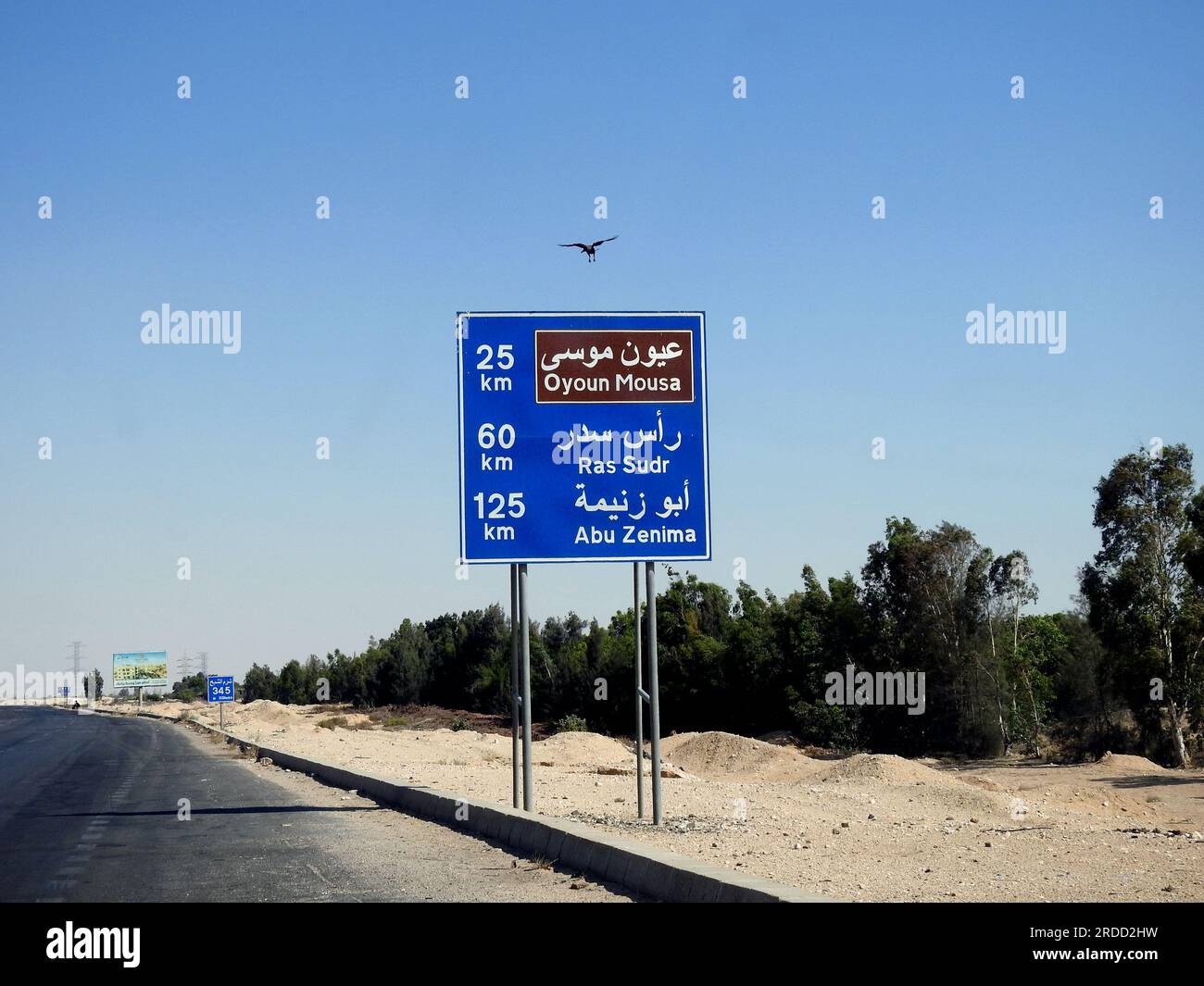 Signpost signpost shows dreaming or doing in english hi-res stock ...