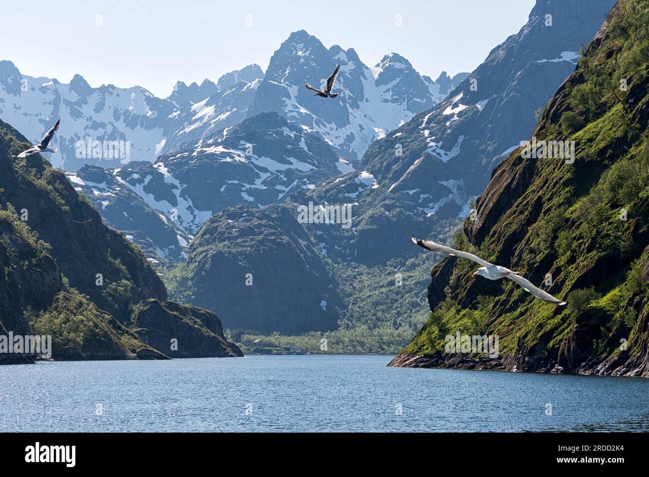 View of the Trollfjord with its steep walls, mountains covered with ...
